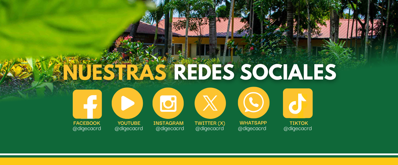 Inicio | Dirección General de Embellecimiento de Carreteras y Avenidas ...