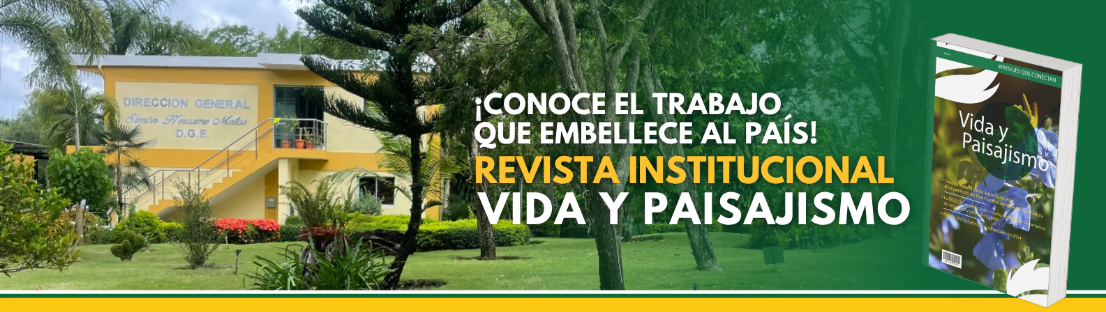 Inicio | Dirección General de Embellecimiento de Carreteras y Avenidas ...